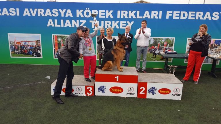 ALIANZ TURKEY 2016 – GERMAN SHEPHERD DOG EUROPEAN CHAMPIONSHIP 23.10. ...