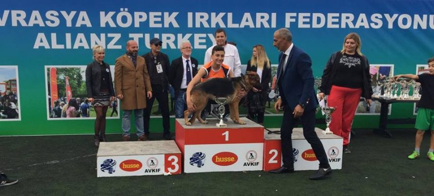 ALIANZ TURKEY 2016 – GERMAN SHEPHERD DOG EUROPEAN CHAMPIONSHIP 23.10. ...