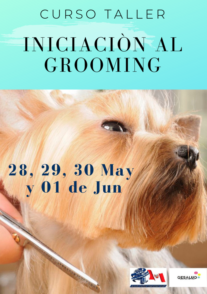 Curso-Taller de INICIACIÓN AL GROOMING ACW Perú 2019 - Alianz Federation